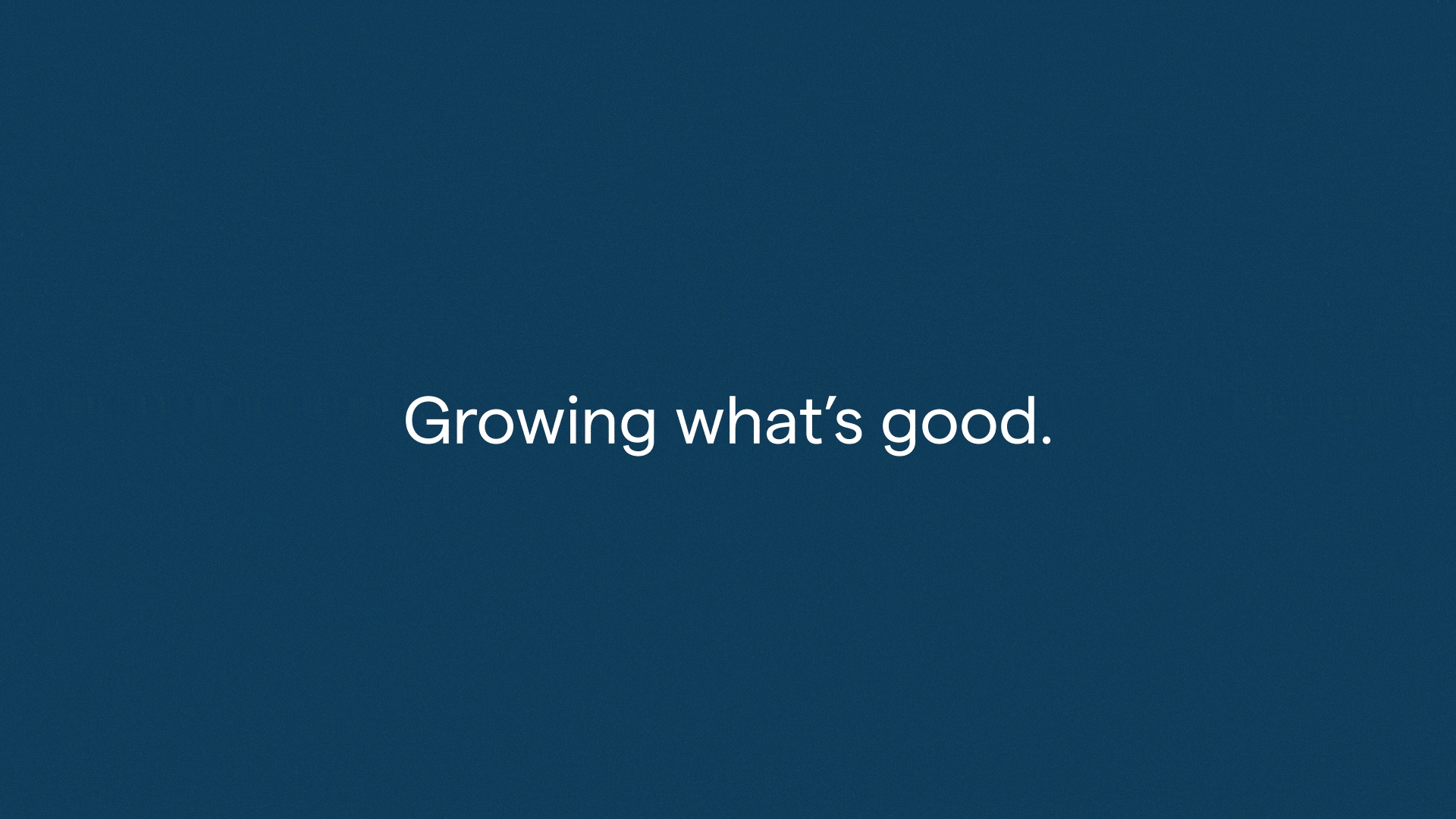 Jack LeWin – Design & Creative Direction